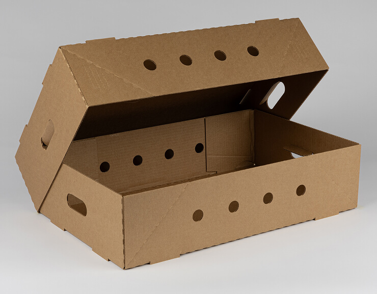 Complex-cut Packaging - ILIM Group
